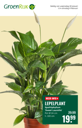 Tuincentrum GroenRijk Raalte in Raalte