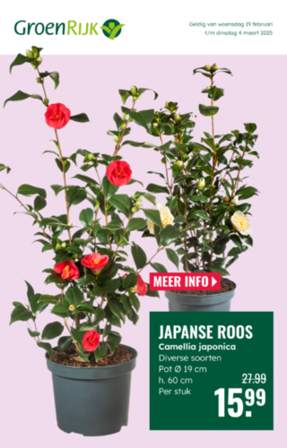 Tuincentrum GroenRijk Raalte in Raalte