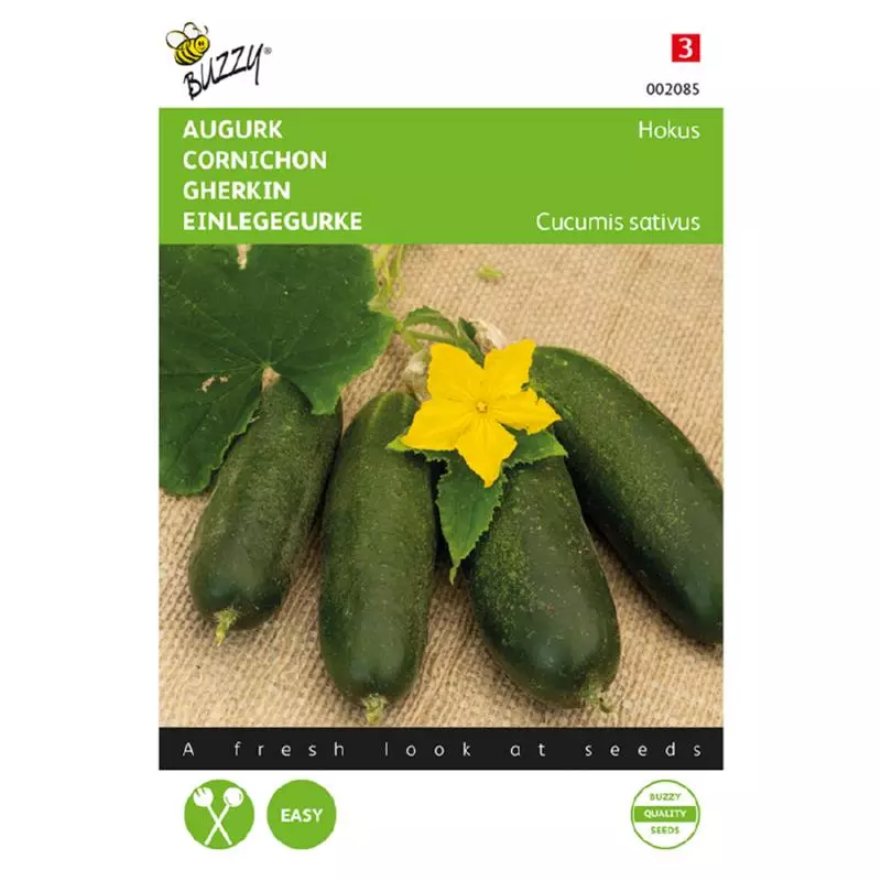 Augurk hokus 2g - GroenRijk Raalte