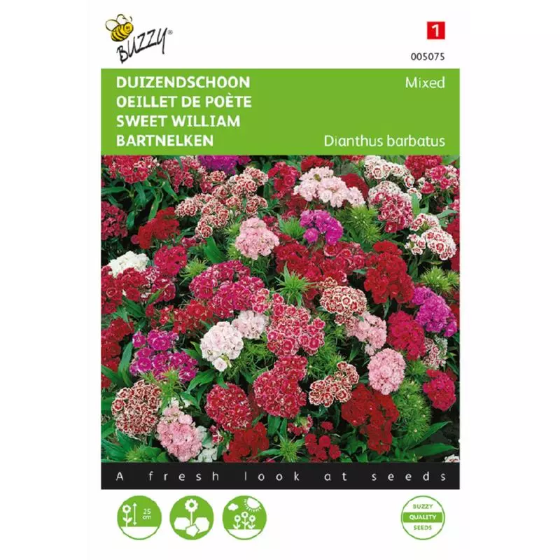 Dianthus barbatus nanus comp. 0.5g - GroenRijk Raalte