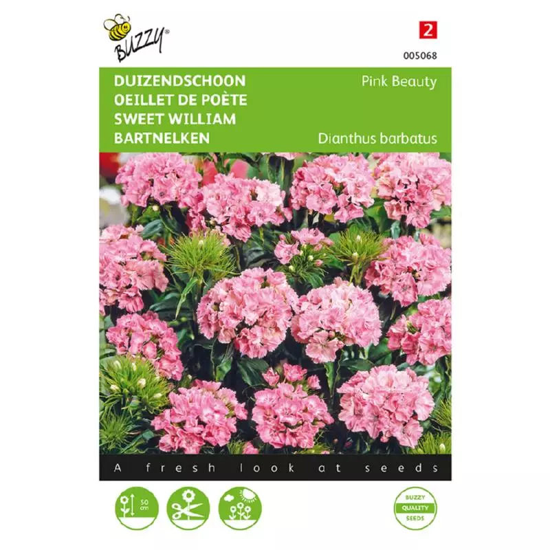 Dianthus barbatus pink 0.75g - GroenRijk Raalte