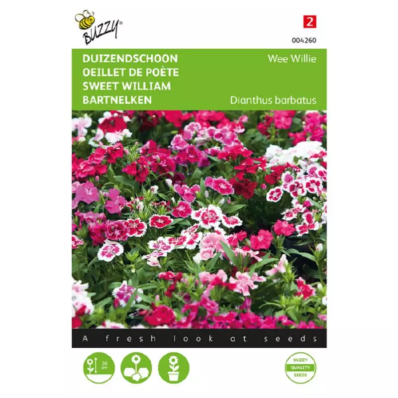 Dianthus barbatus wee willie 0.5g - GroenRijk Raalte